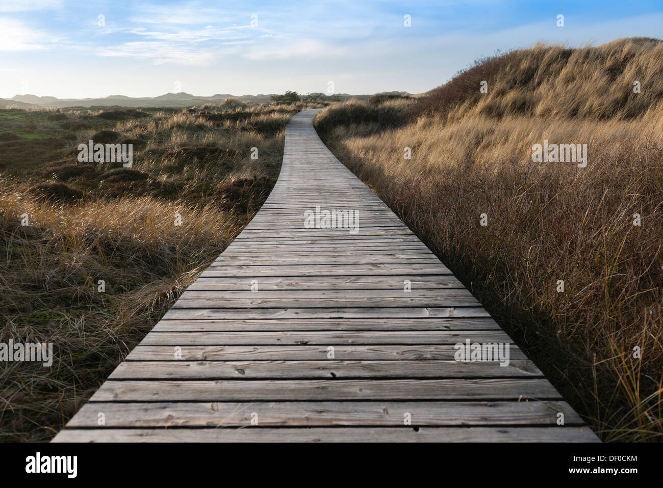 Boardwalk through Amrum Dunes Nature Reserve, North Frisia, Nebel ...