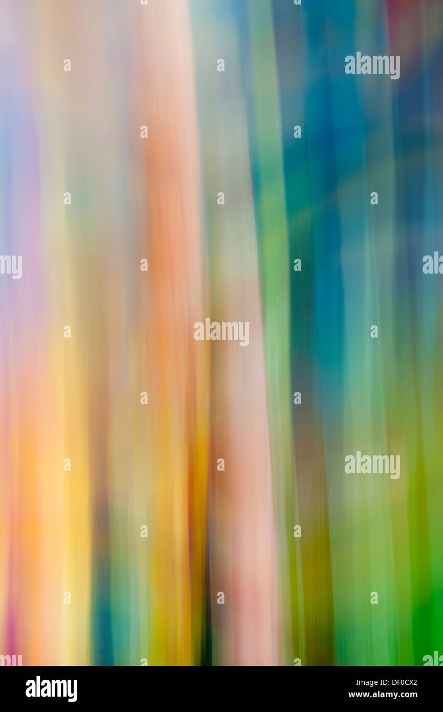 Picture composition hi-res stock photography and images - Alamy