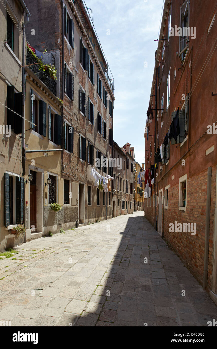 Orsetti hi-res stock photography and images - Alamy