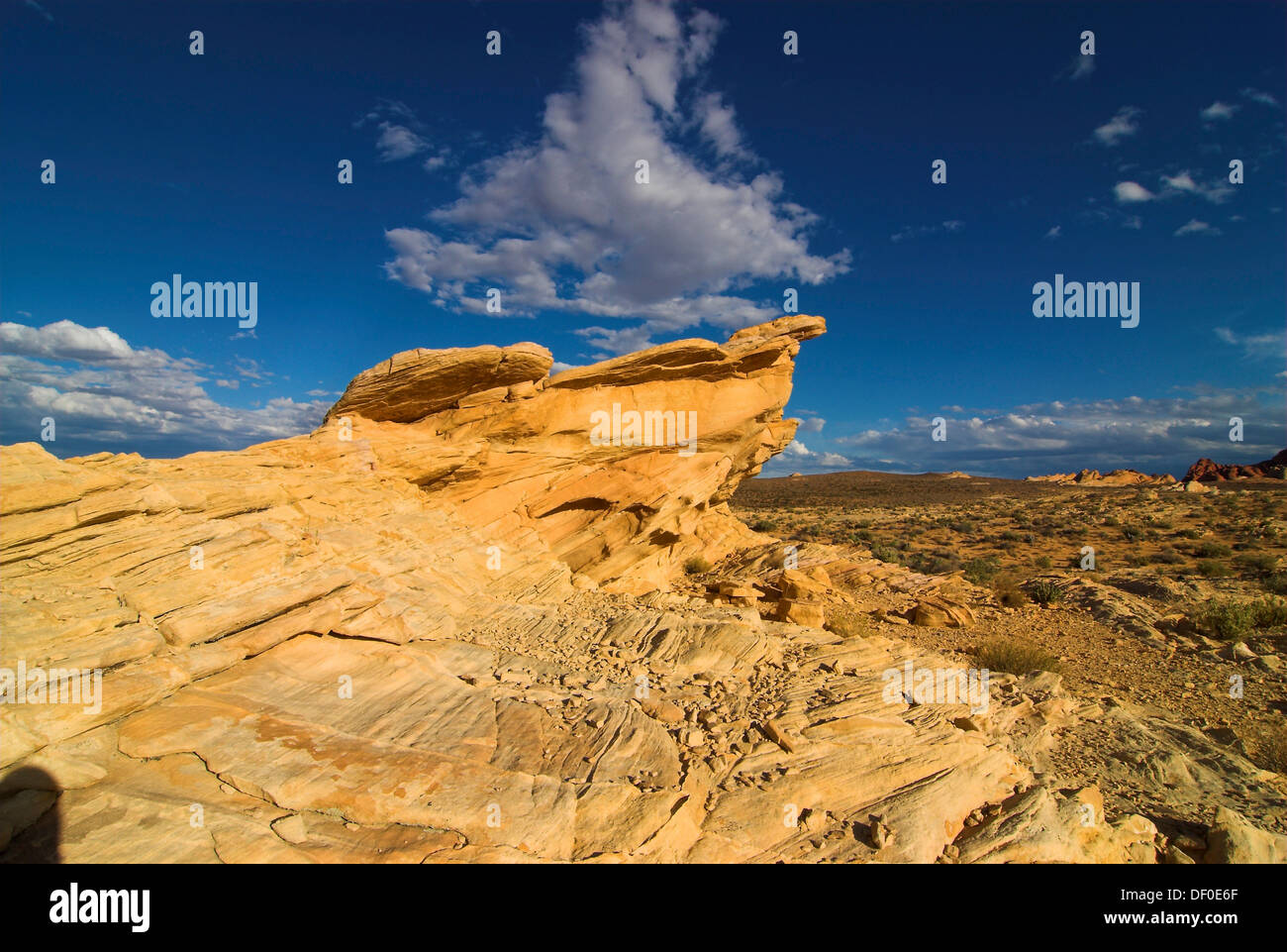 A sandstone rock in the Valley of Fire, Nevada, USA Stock Photo - Alamy