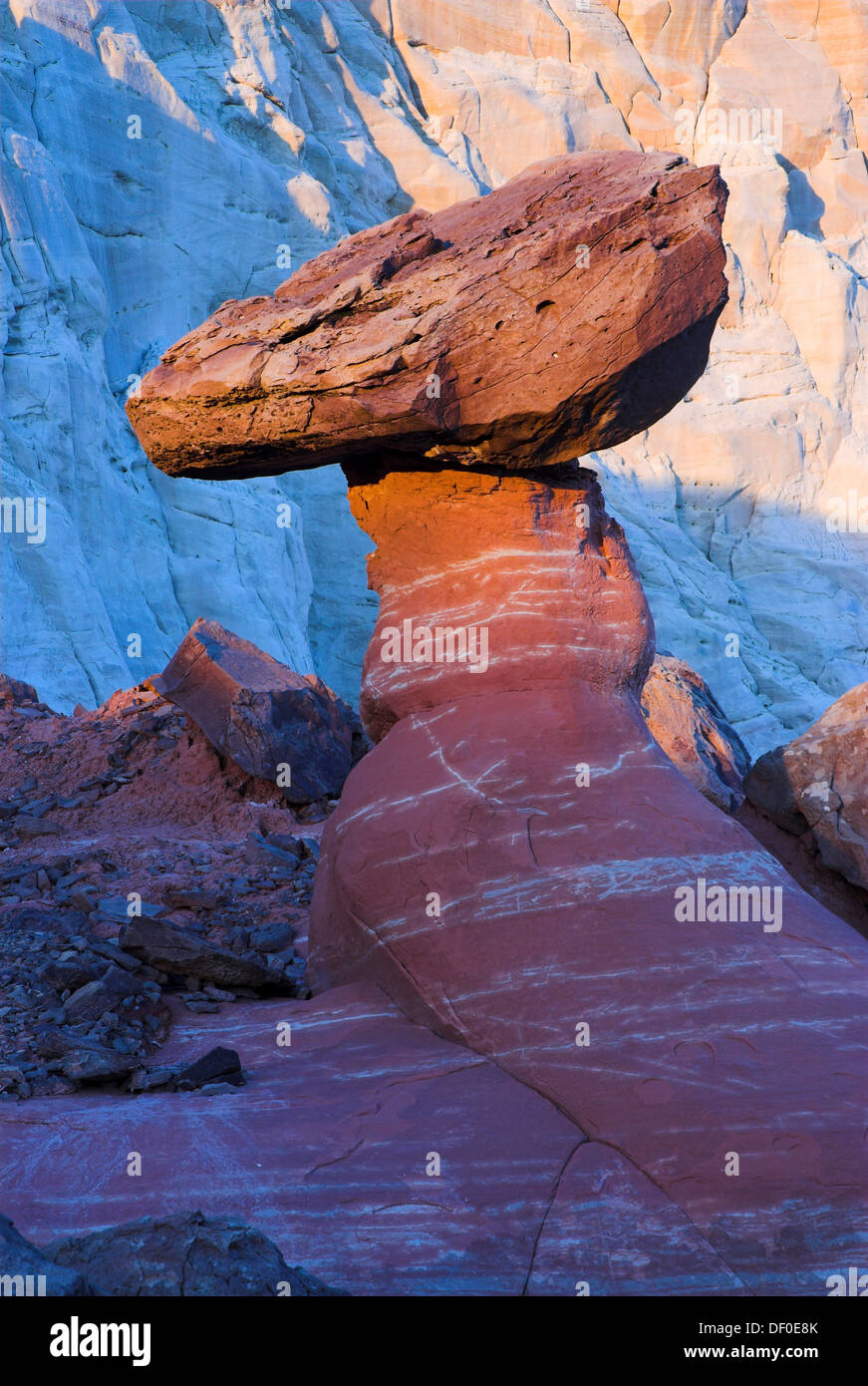 A hoodoo, rock formation, in warm evening light, in the Rimrocks area ...