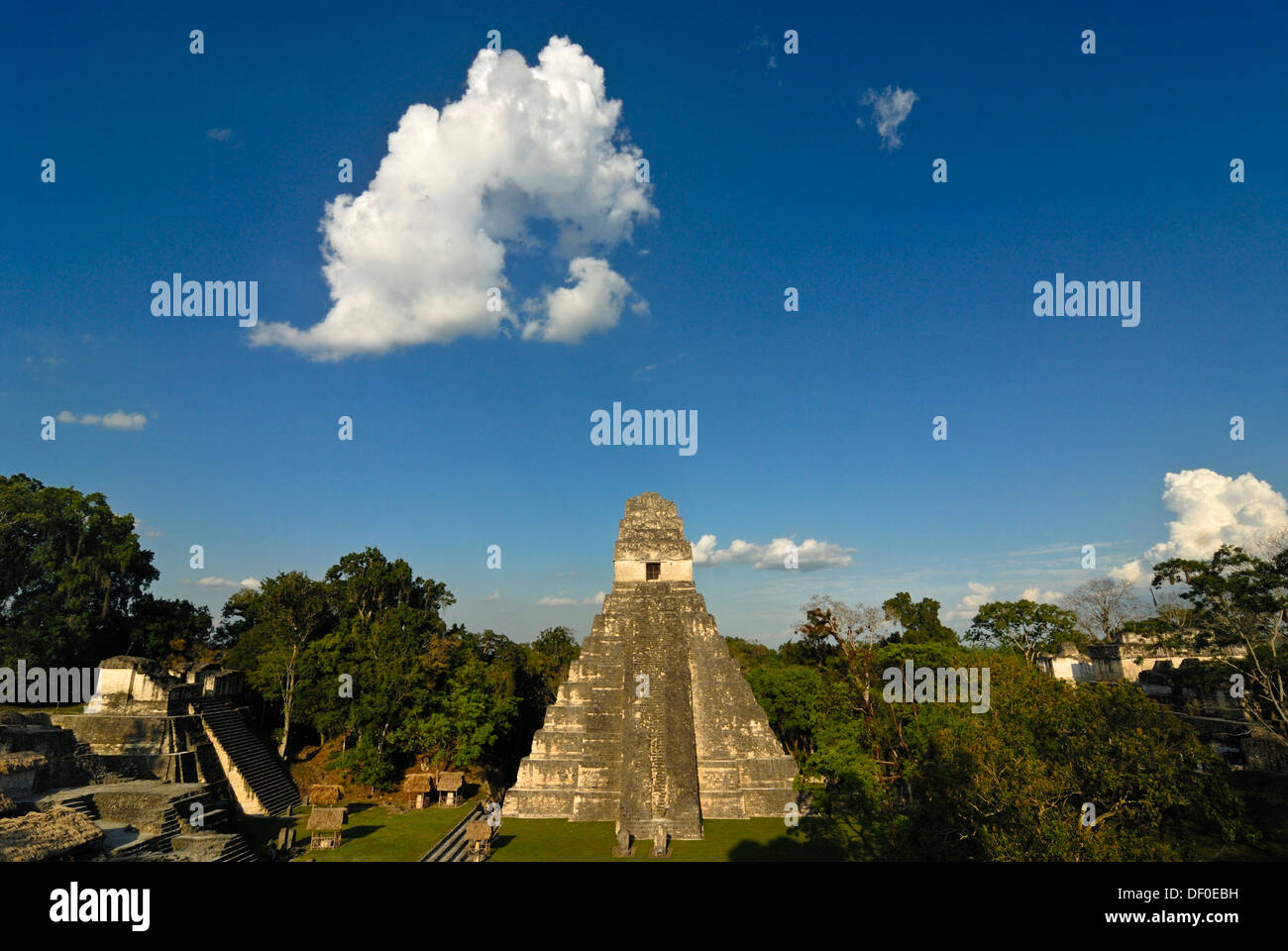 Jaguar maya hi-res stock photography and images - Alamy