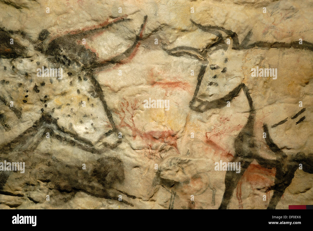 Stone Age Cave Art Drawings Rectangle Circle
