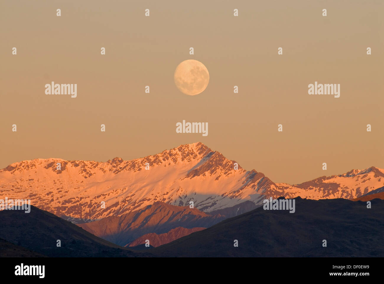 The setting moon above the alpenglow on the peaks of the Southern Alps ...