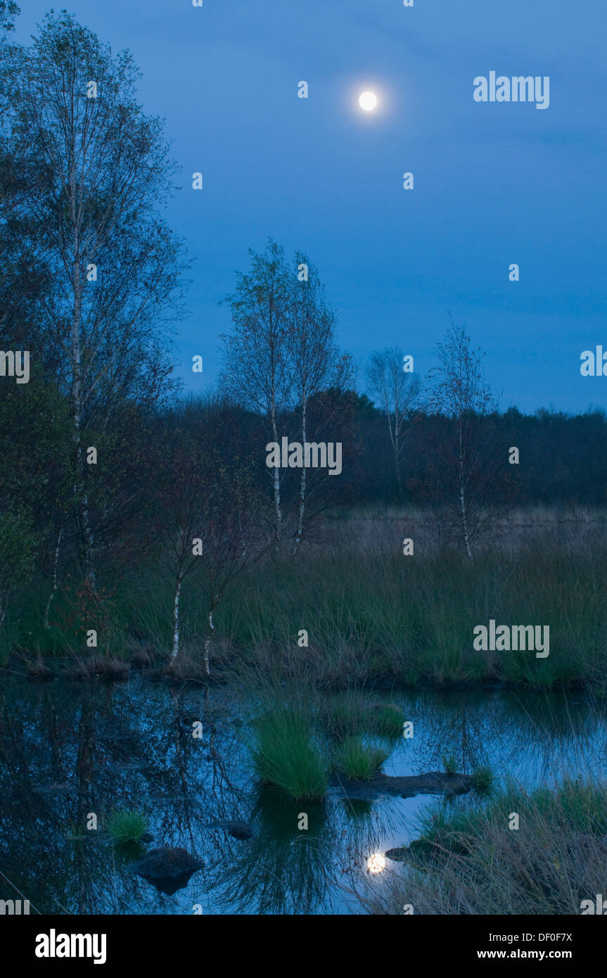 Full moon marsh hi-res stock photography and images - Alamy