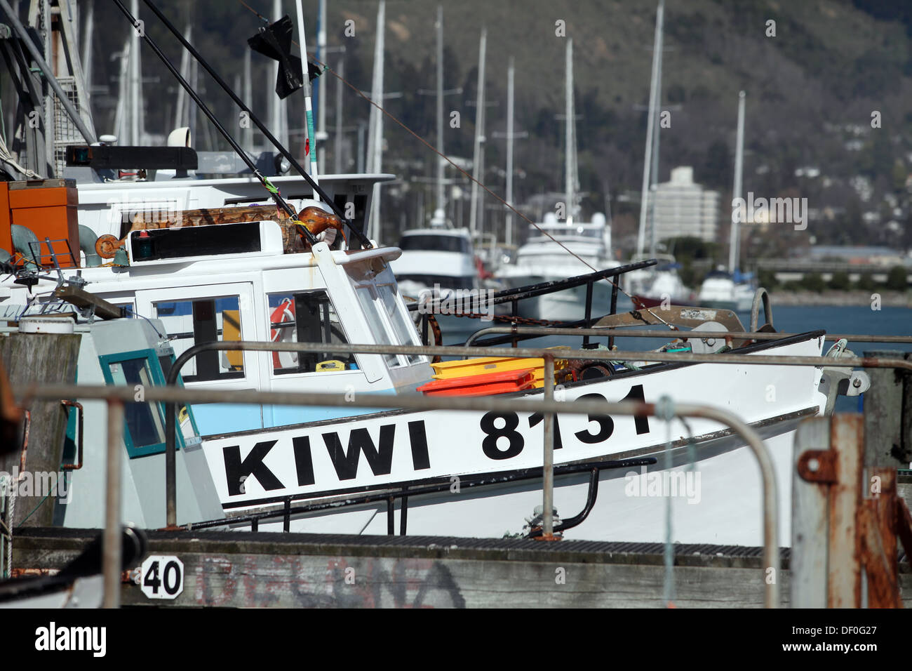 Nelson new zealand marina hi-res stock photography and images - Alamy