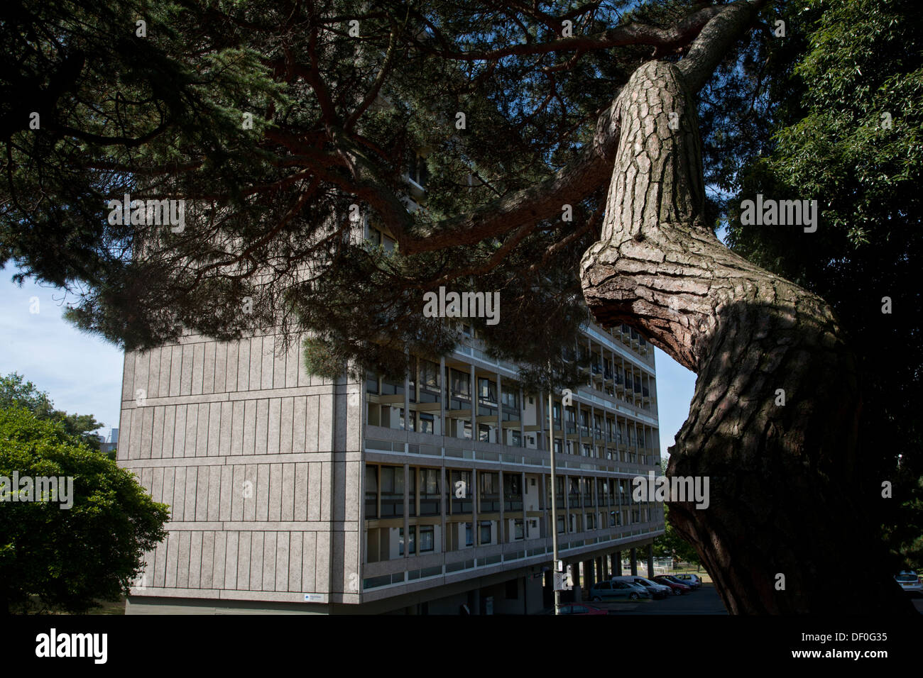 Alton estate roehampton hi-res stock photography and images - Alamy