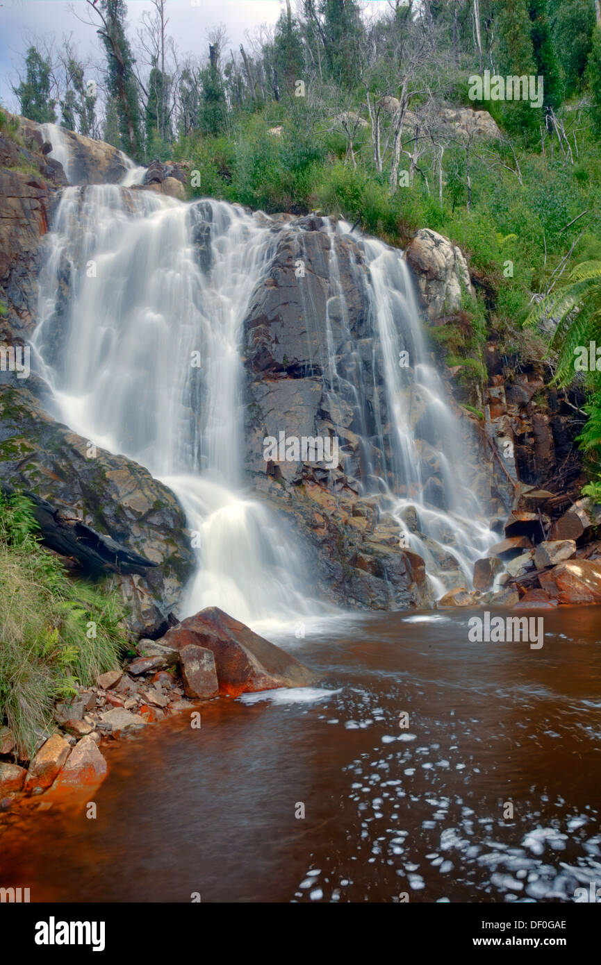 A waterfall flowing through regrowth forest into a river with reddish ...