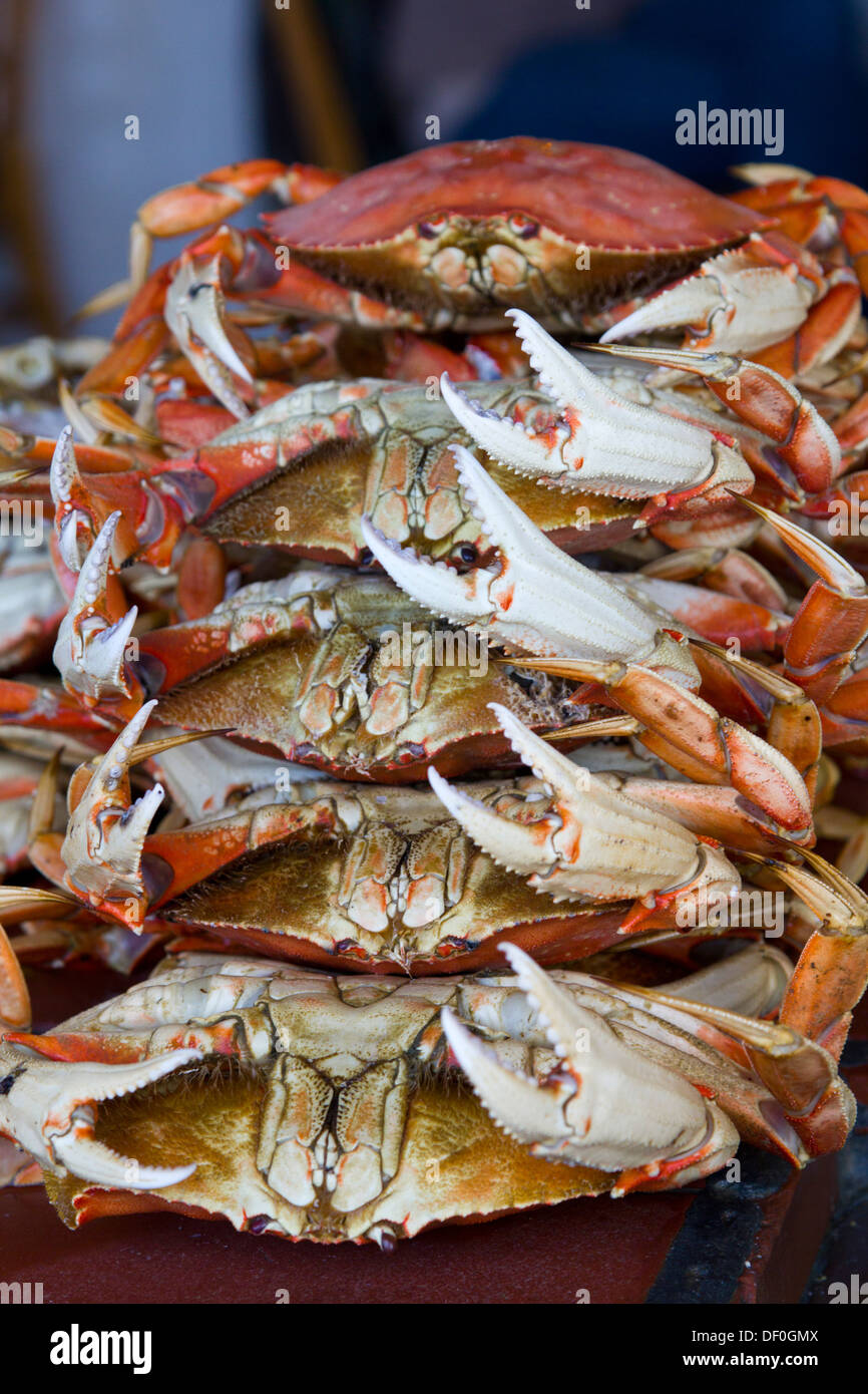 Dungeness crab hi-res stock photography and images - Alamy