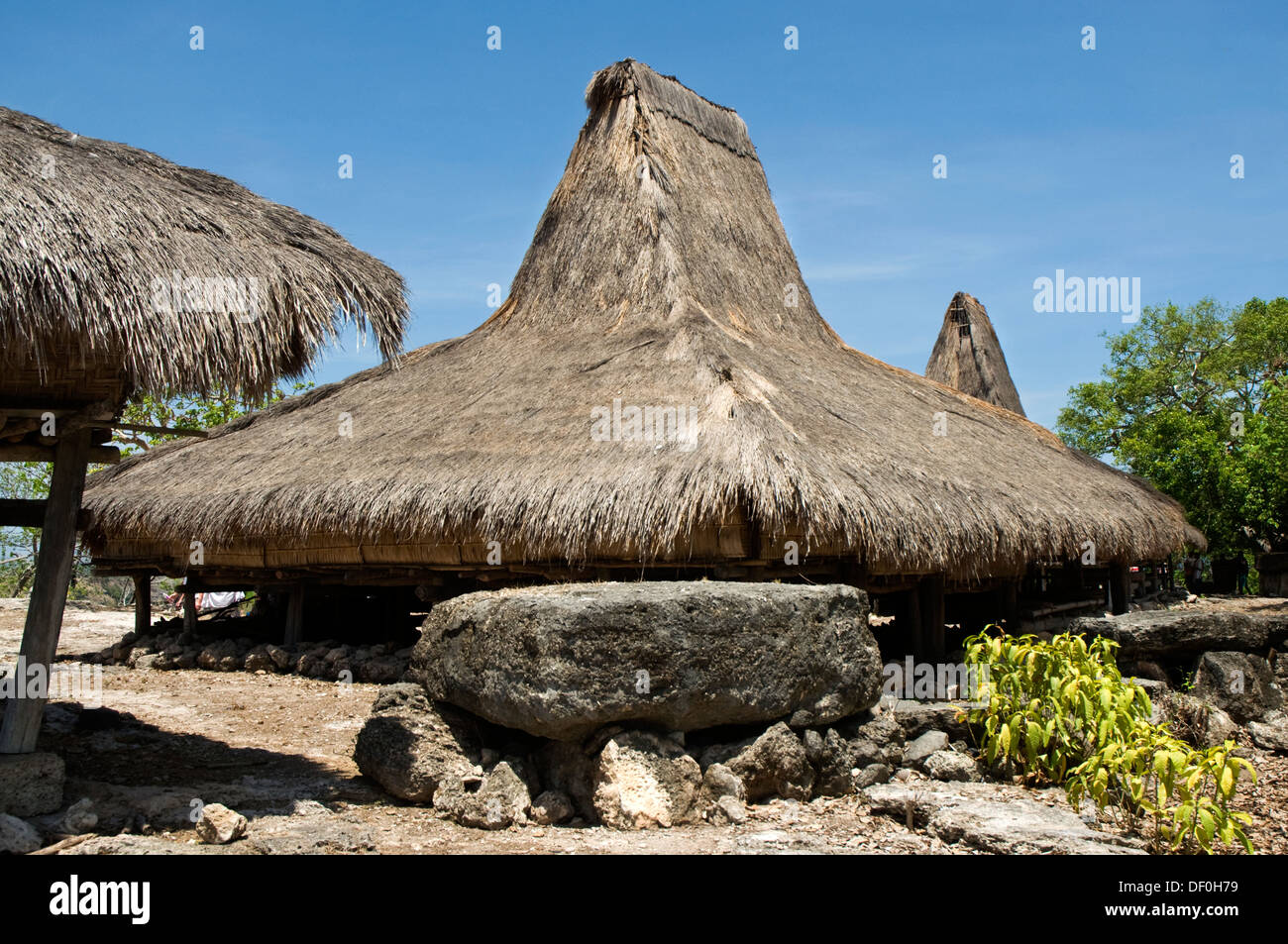 Indonesia sumba island traditional house hi-res stock photography and ...