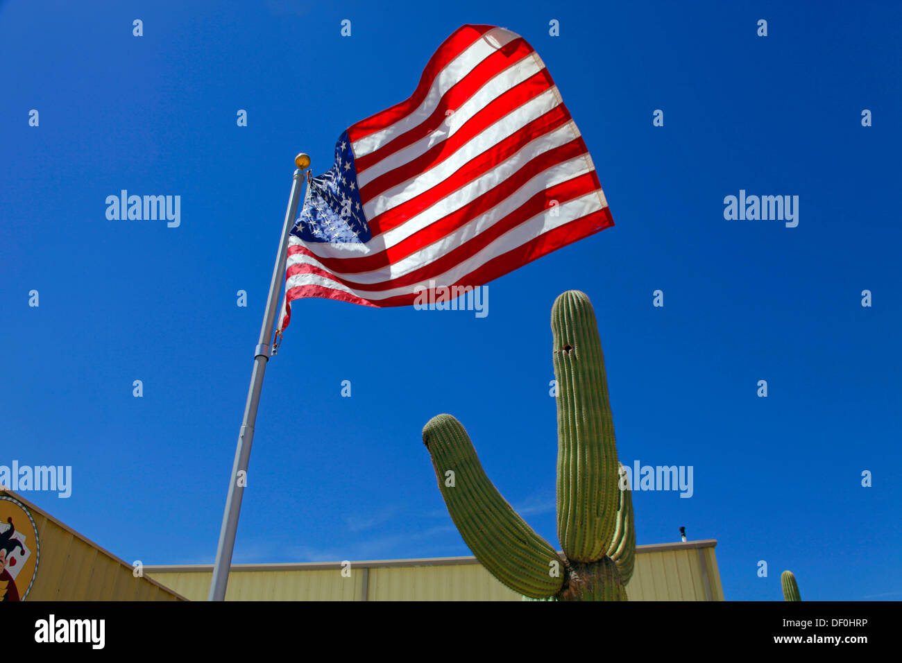 USA flag flying Arizona USA Stock Photo - Alamy