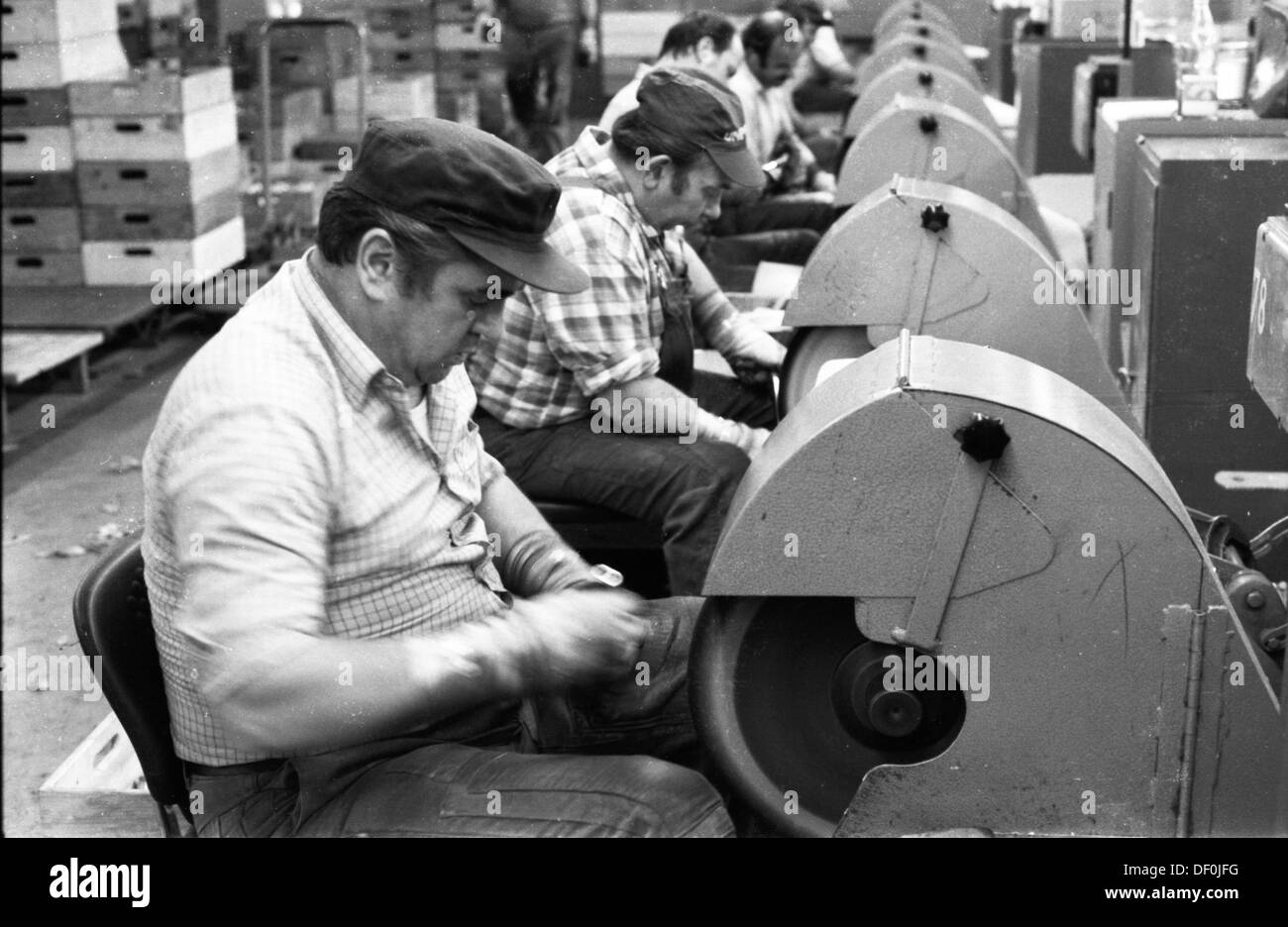 The production of Amaturenherstellers Grohe 30 years ago was a factory ...