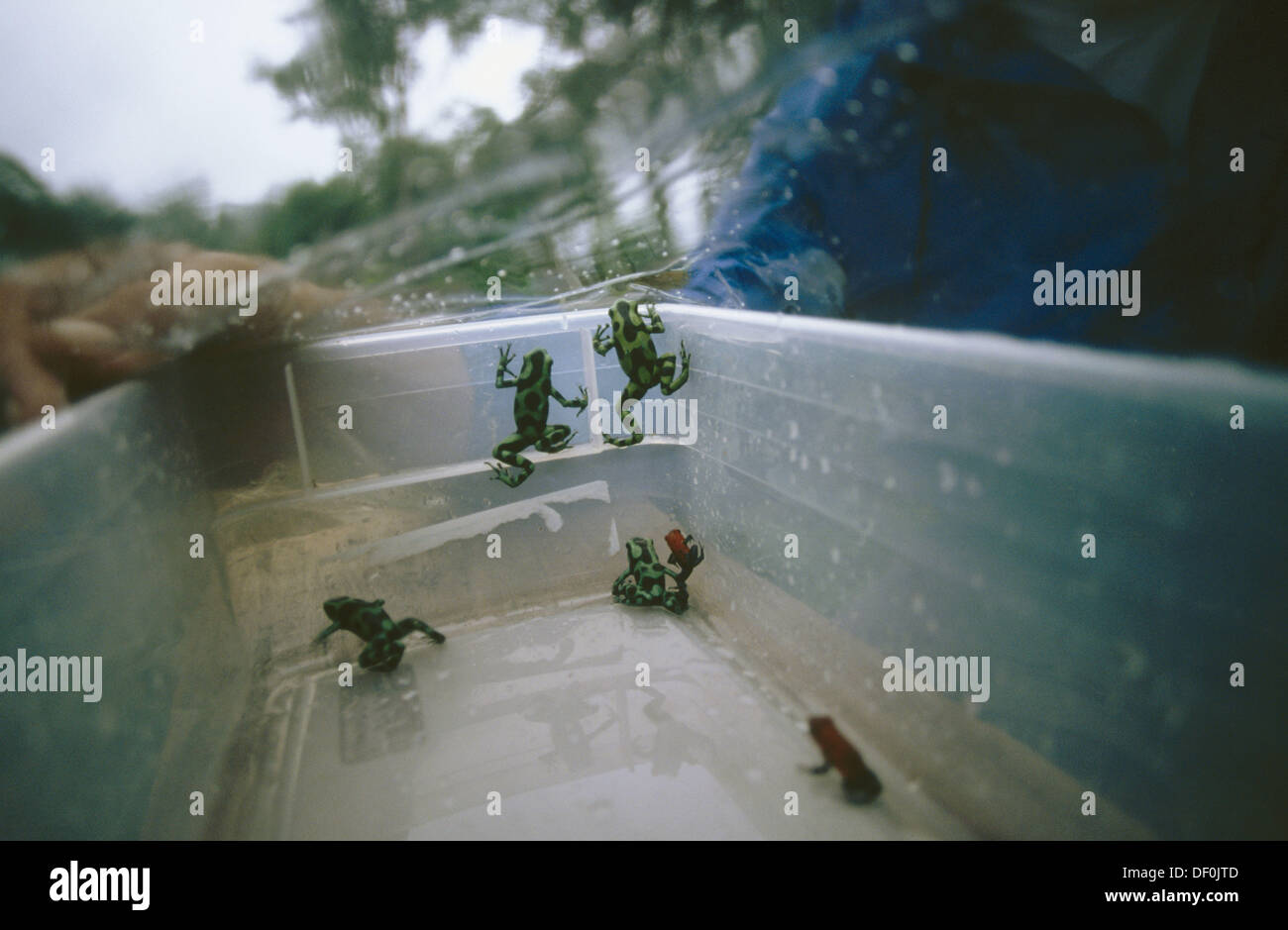 Río san juan nicaragua hi-res stock photography and images - Alamy