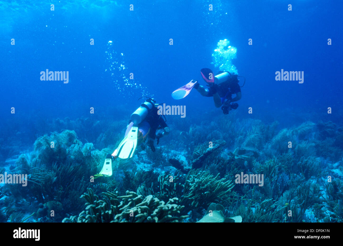 Cayo muerto island hi-res stock photography and images - Alamy