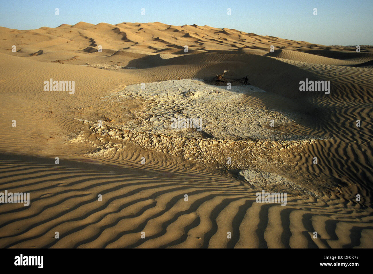 The great khali hi-res stock photography and images - Alamy