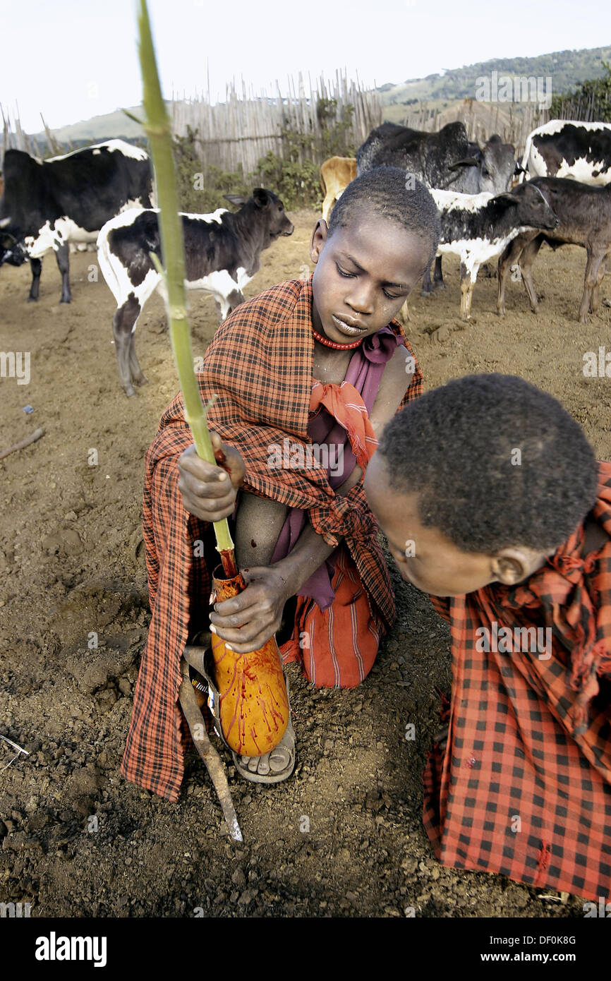 Ritual whipping hi-res stock photography and images - Alamy