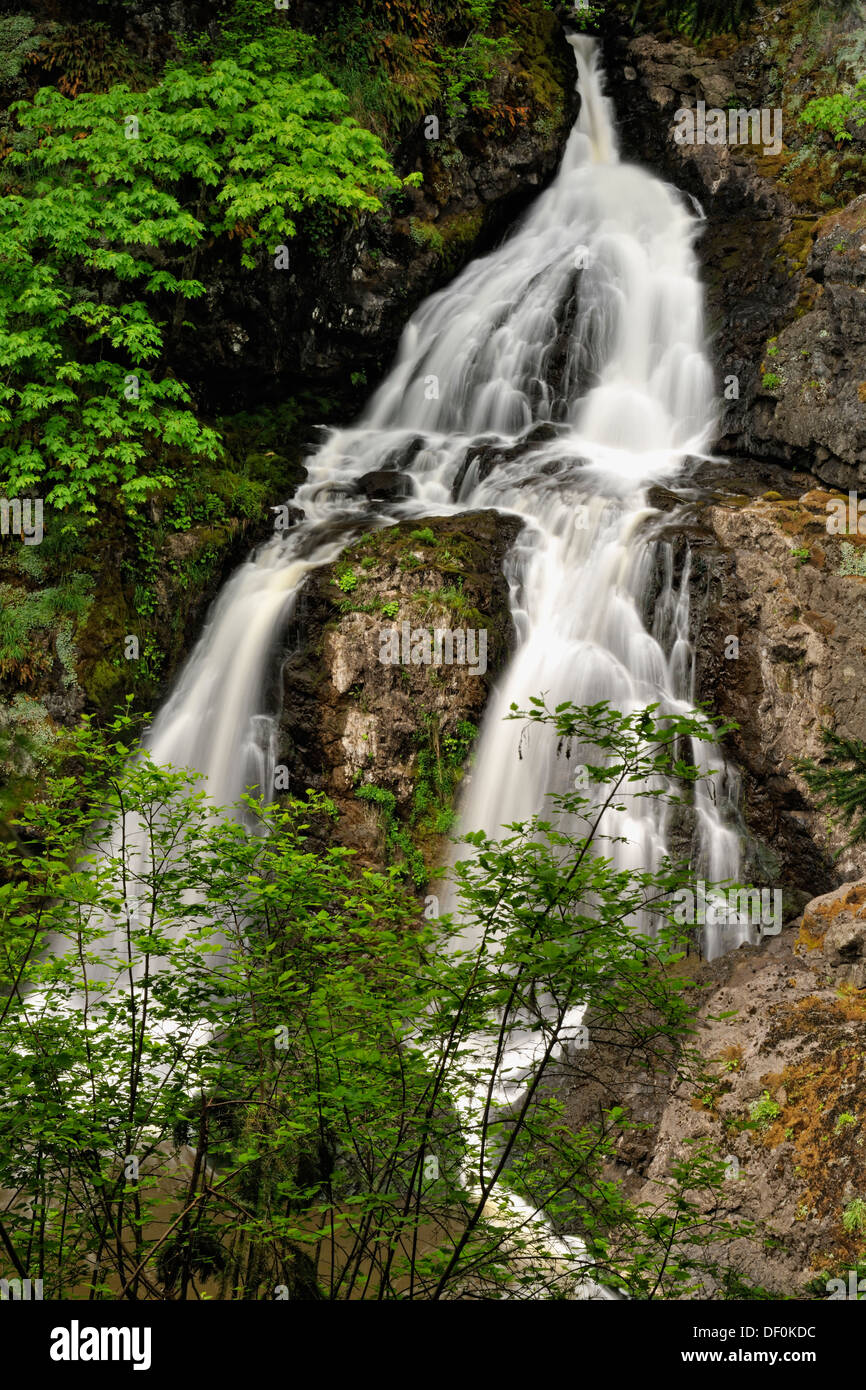 Sitting Lady waterfall on Bilston Creek, Witty´s Bay Preserve ...