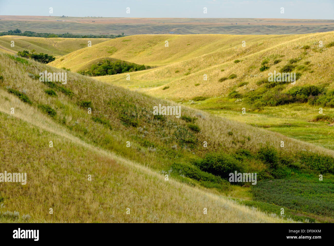 Glasgow Montana High Resolution Stock Photography and Images - Alamy