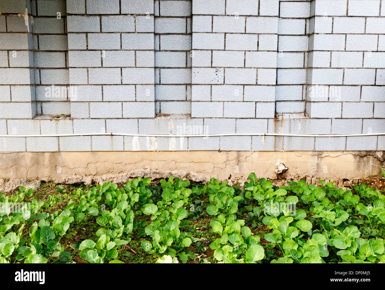 Stone rubble border hi-res stock photography and images - Alamy