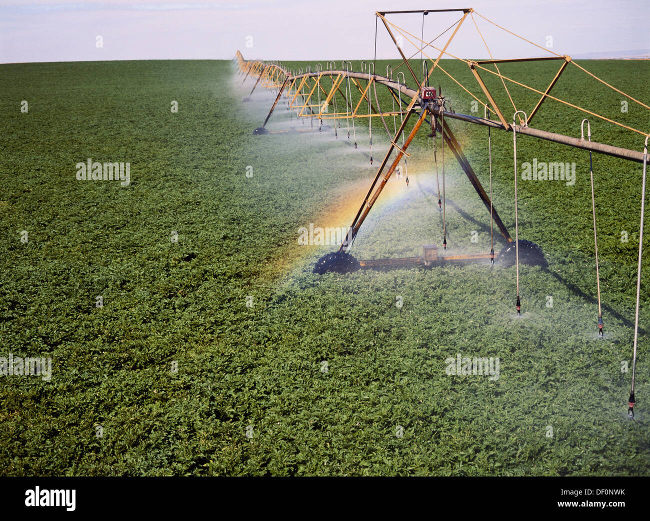 Sprinkler system in field Stock Photo - Alamy