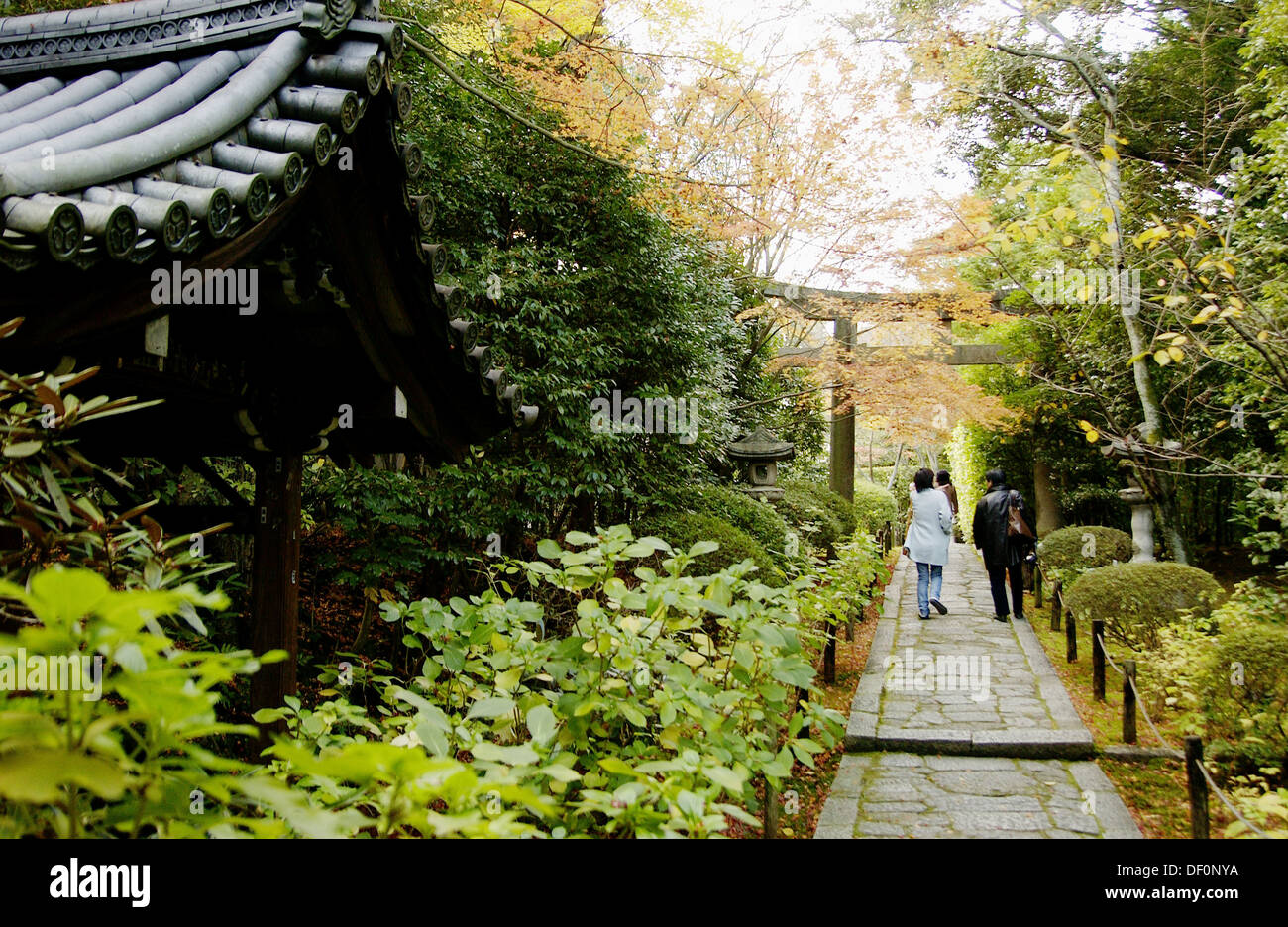 Konchi hi-res stock photography and images - Alamy