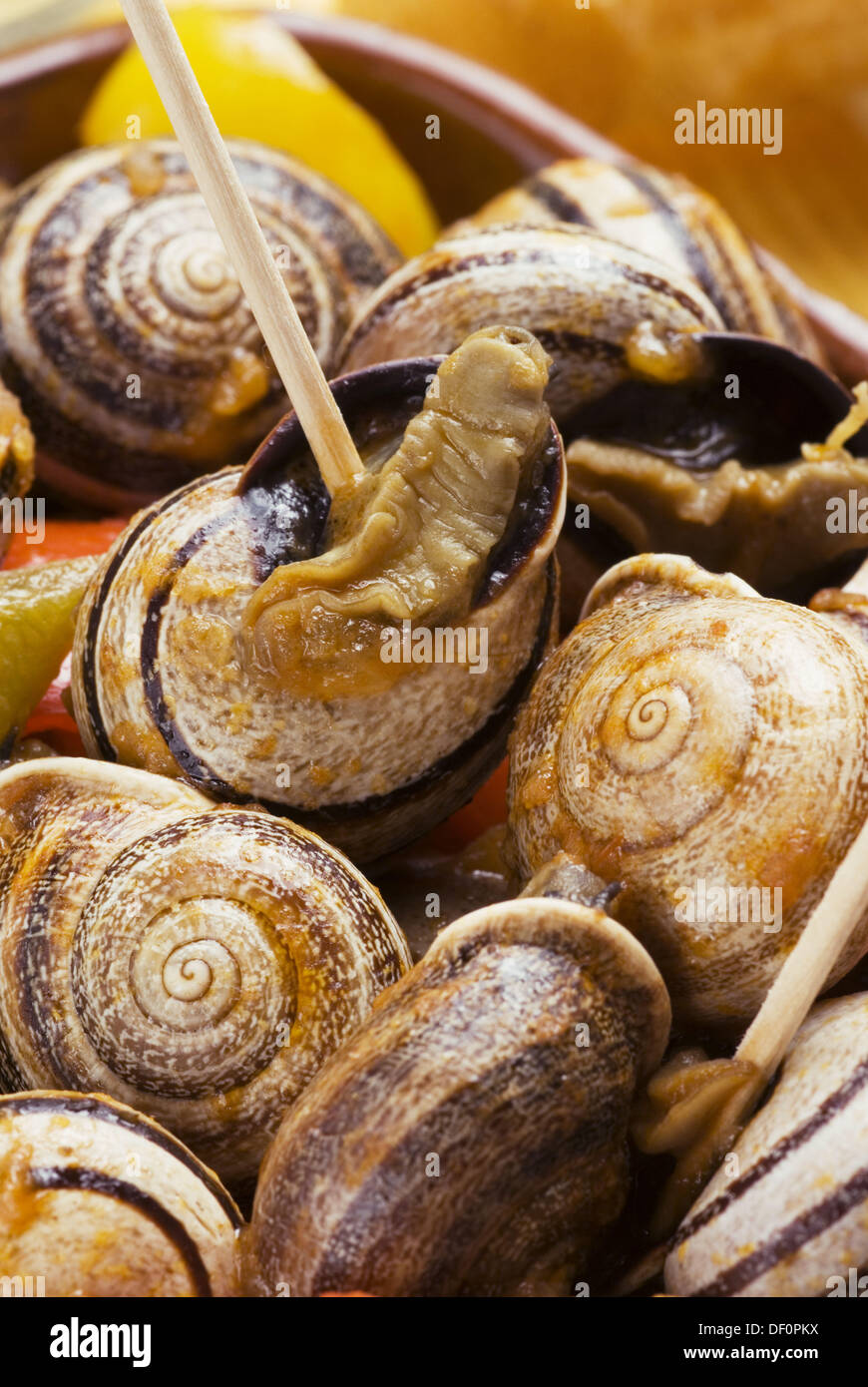 Tapa of snails hi-res stock photography and images - Alamy