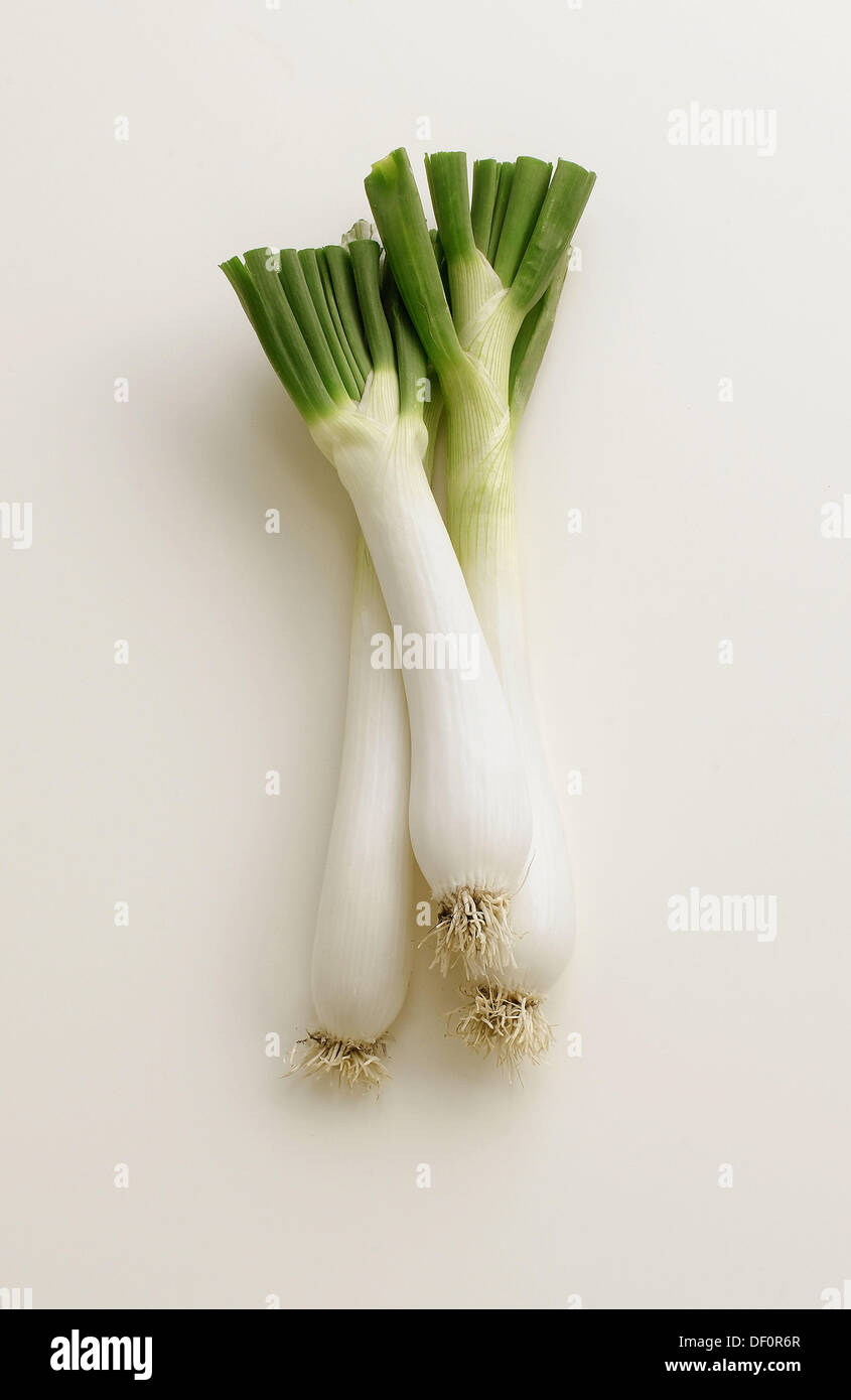 Cebolla tierna hi-res stock photography and images - Alamy