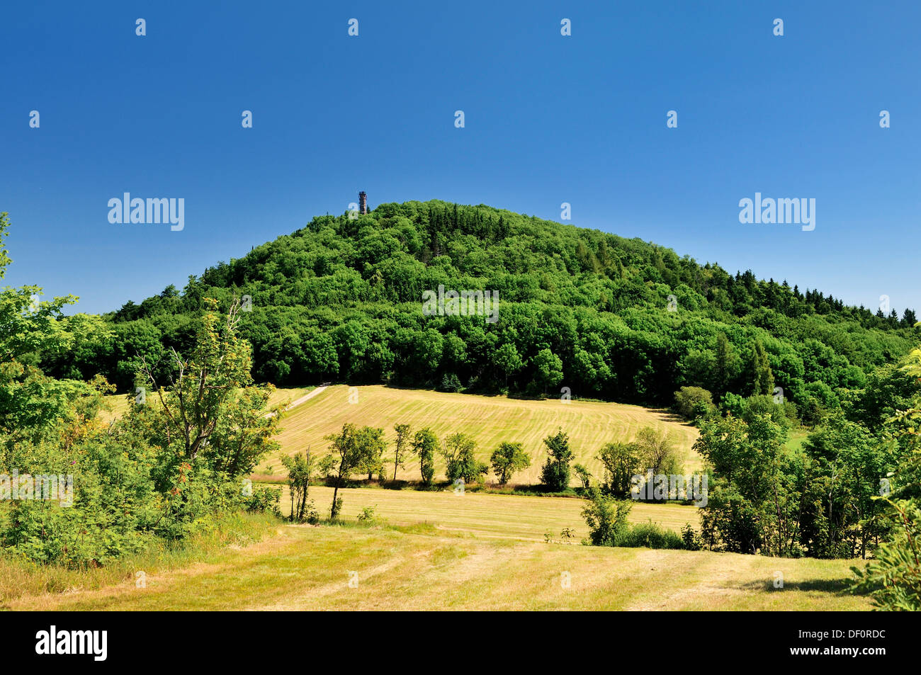 Mountain Geising with observation tower, Osterzgebirge, Geisingberg mit ...