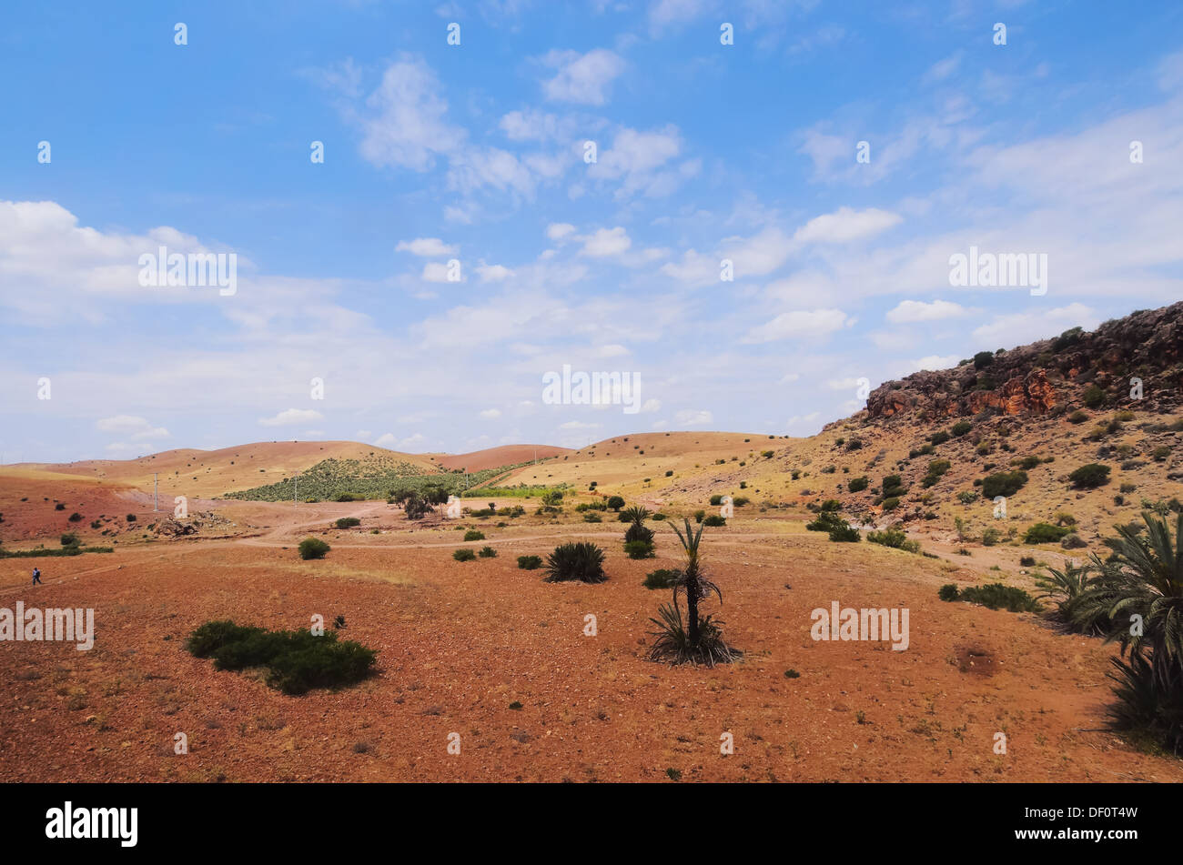 Northern Africa Landscape