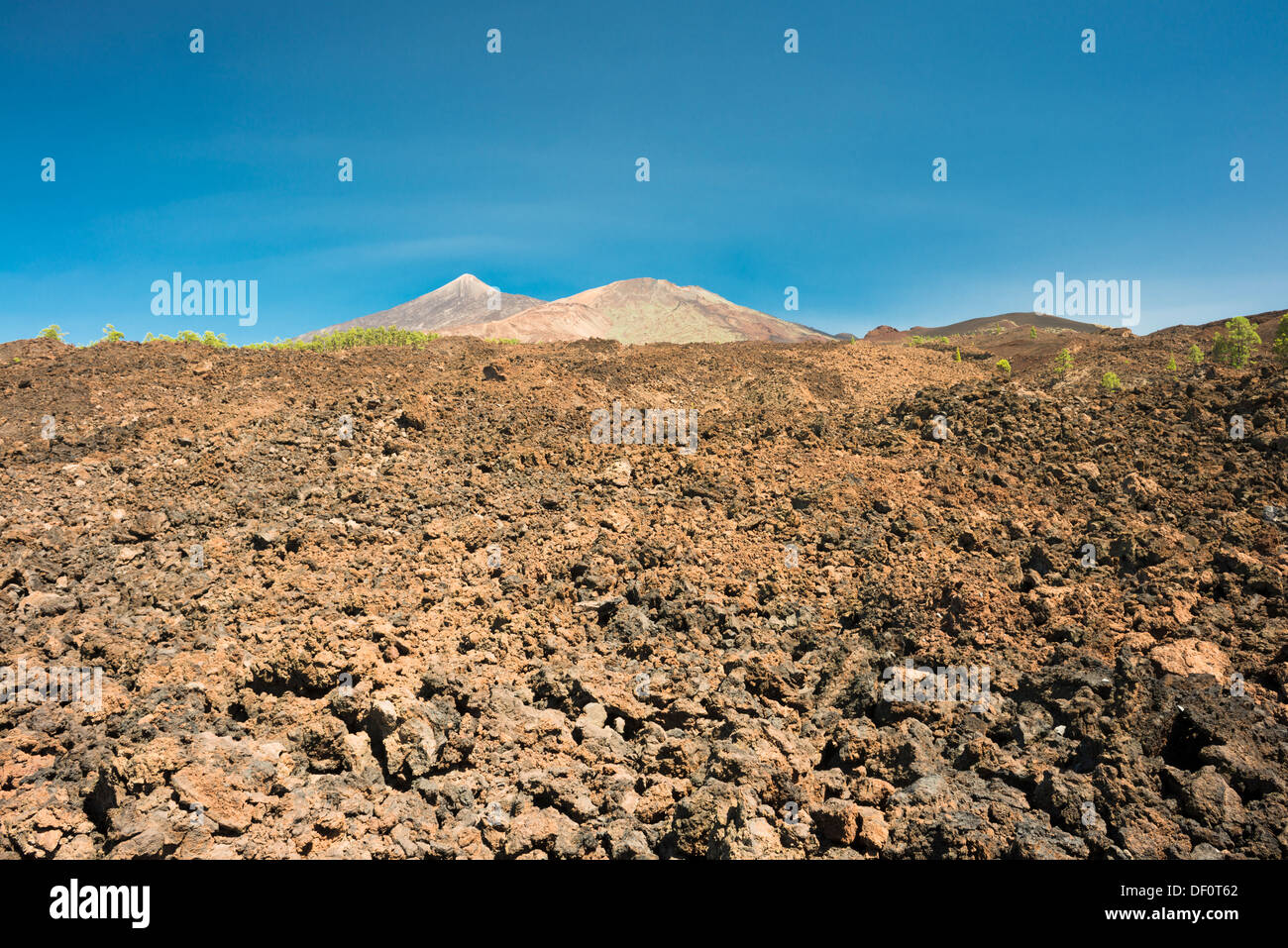 Young, blocky or aa basaltic lavas to the west of the stratovolcanoes ...