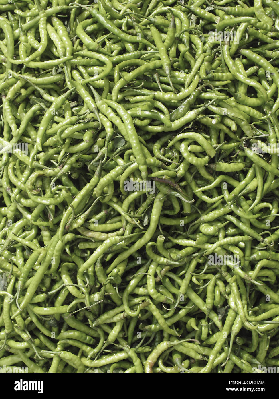 Common to abundant hi-res stock photography and images - Alamy