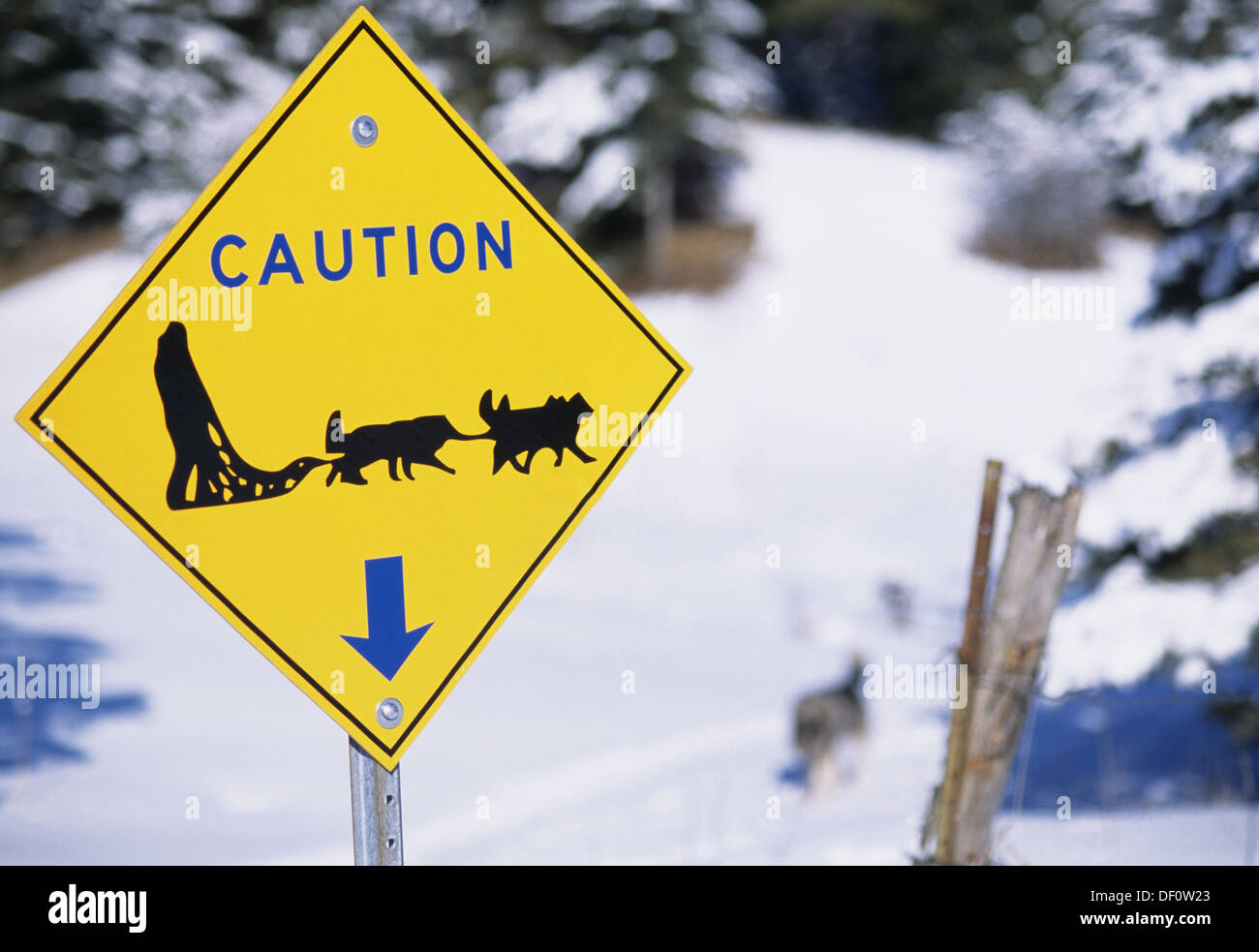 Dogsled crossing sign warning hi-res stock photography and images - Alamy