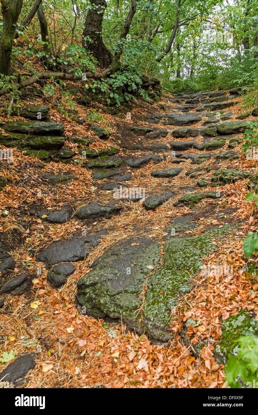 Rock path in the forest Stock Photo - Alamy