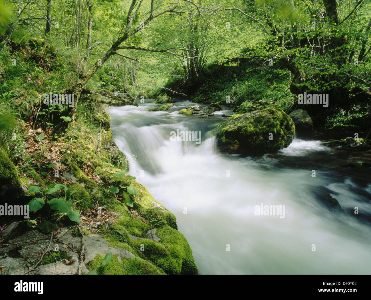 Nalón valley hi-res stock photography and images - Alamy