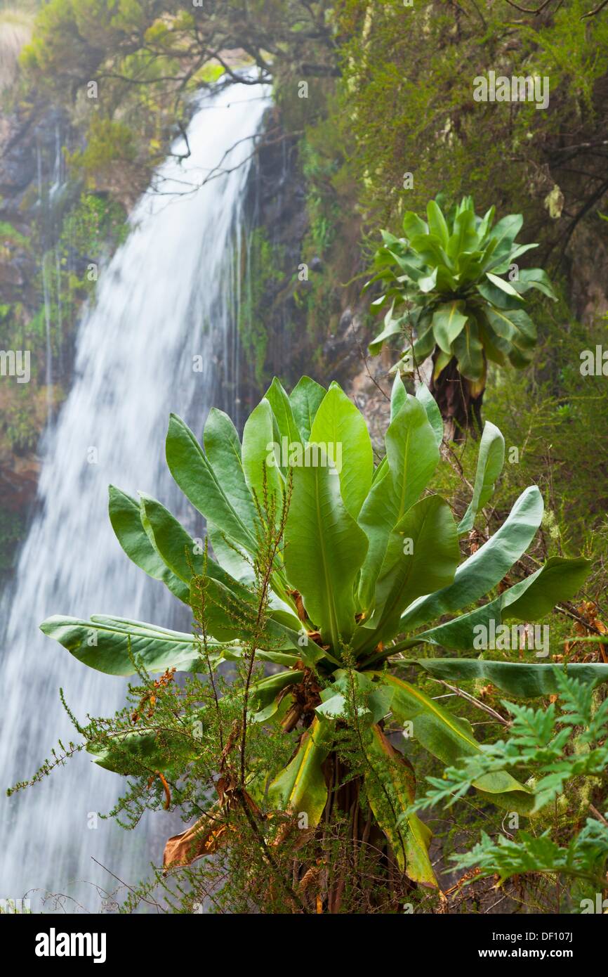 Chania falls hi-res stock photography and images - Alamy