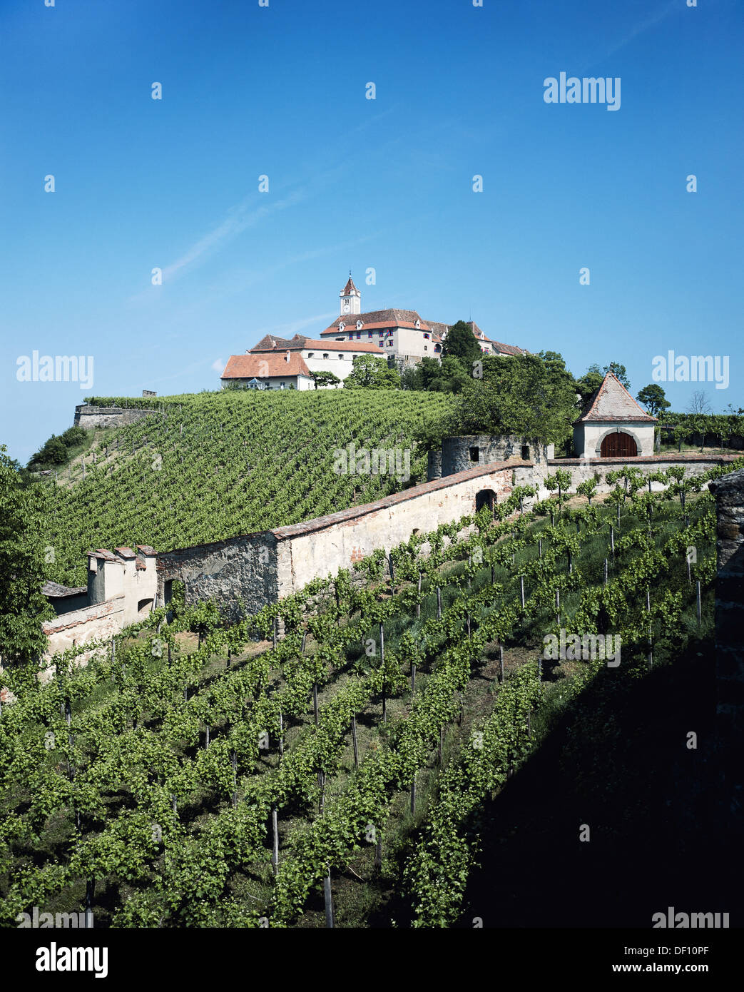 Austria, Styria, Riegersburg, Vineyards, Riegersburg Castle Stock Photo ...