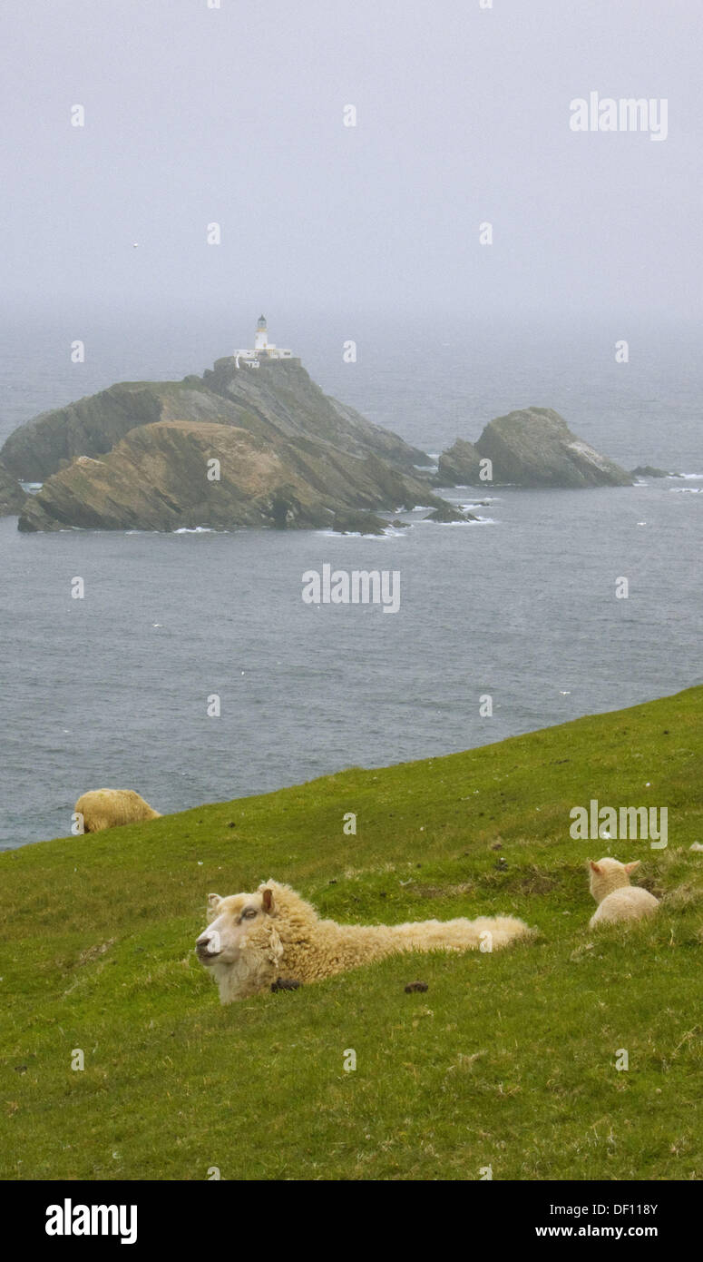 Cliffs of Hermaness National Nature Reserve. Shetland Islands. Scotland ...
