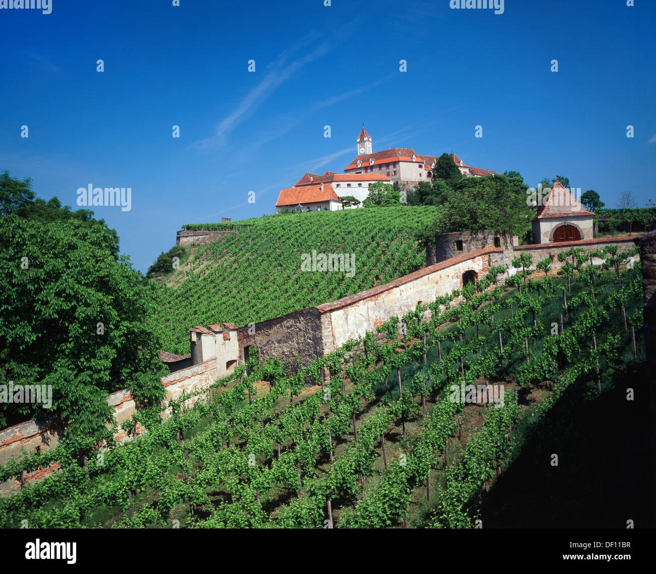 Austria, Styria, Vineyards at Burg Riegersburg Stock Photo - Alamy