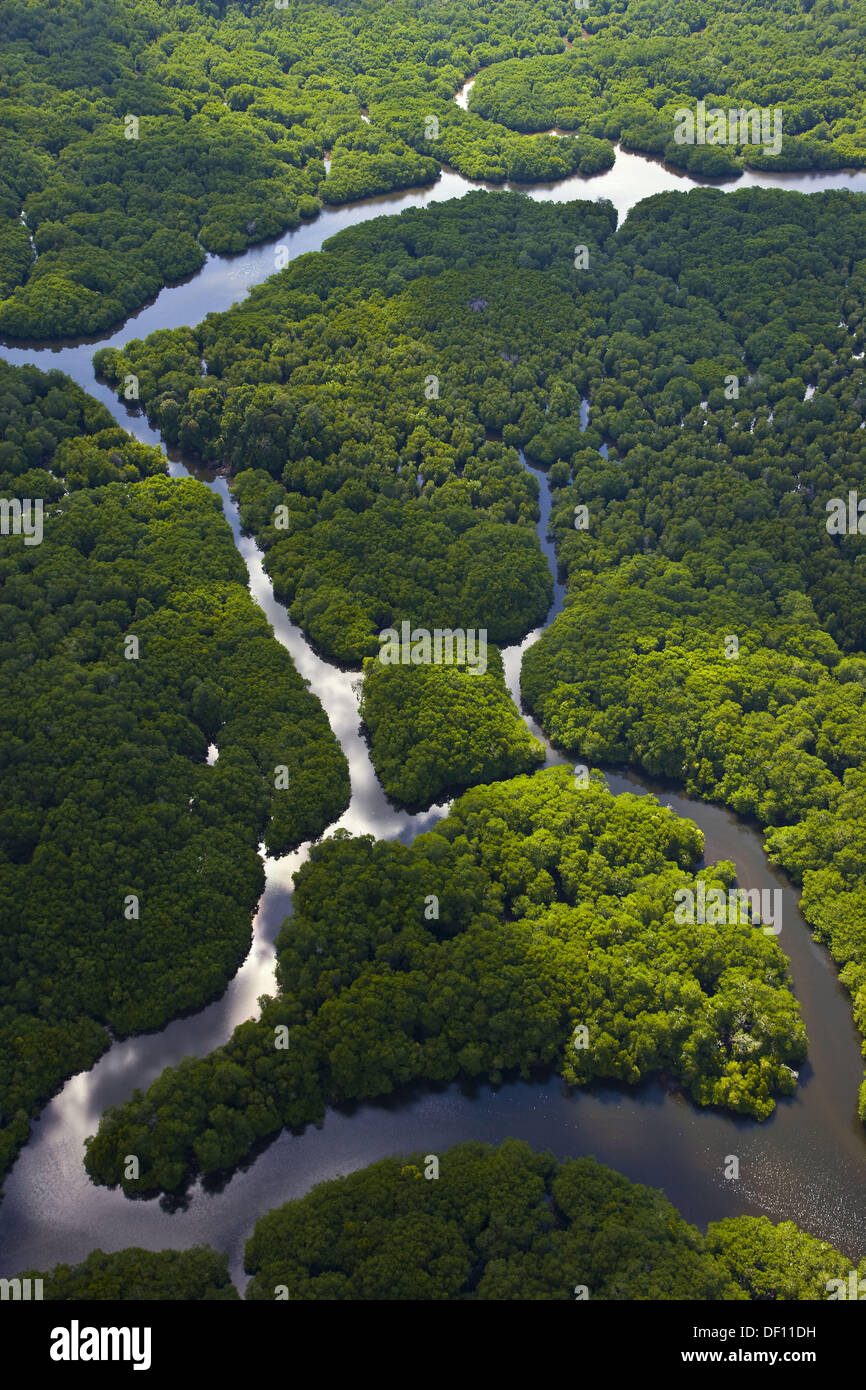 Kinabatangan river aerial hi-res stock photography and images - Alamy
