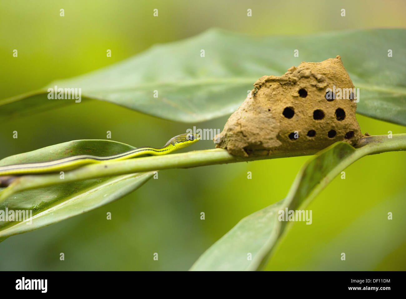 Little area hi-res stock photography and images - Alamy