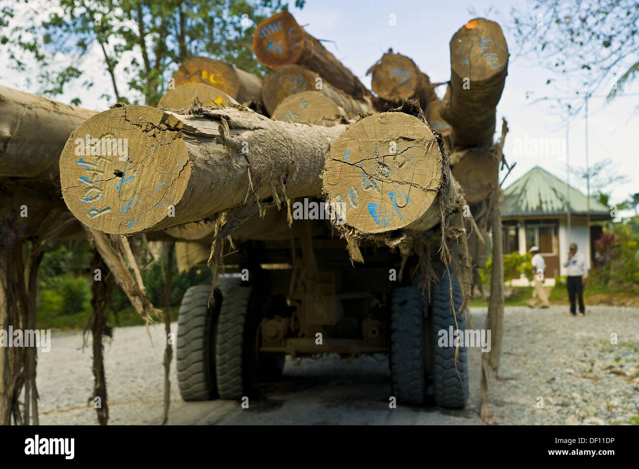 Logging deforestation borneo malaysia hi-res stock photography and ...