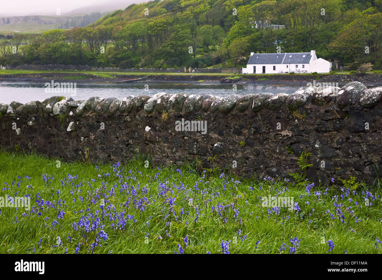 Canna House High Resolution Stock Photography and Images - Alamy