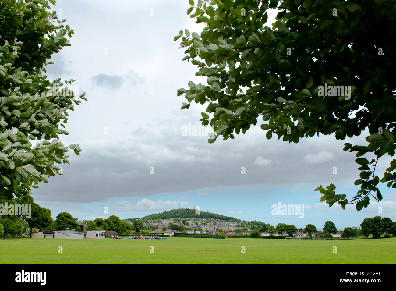 Law hill from Lochee park through trees Stock Photo - Alamy