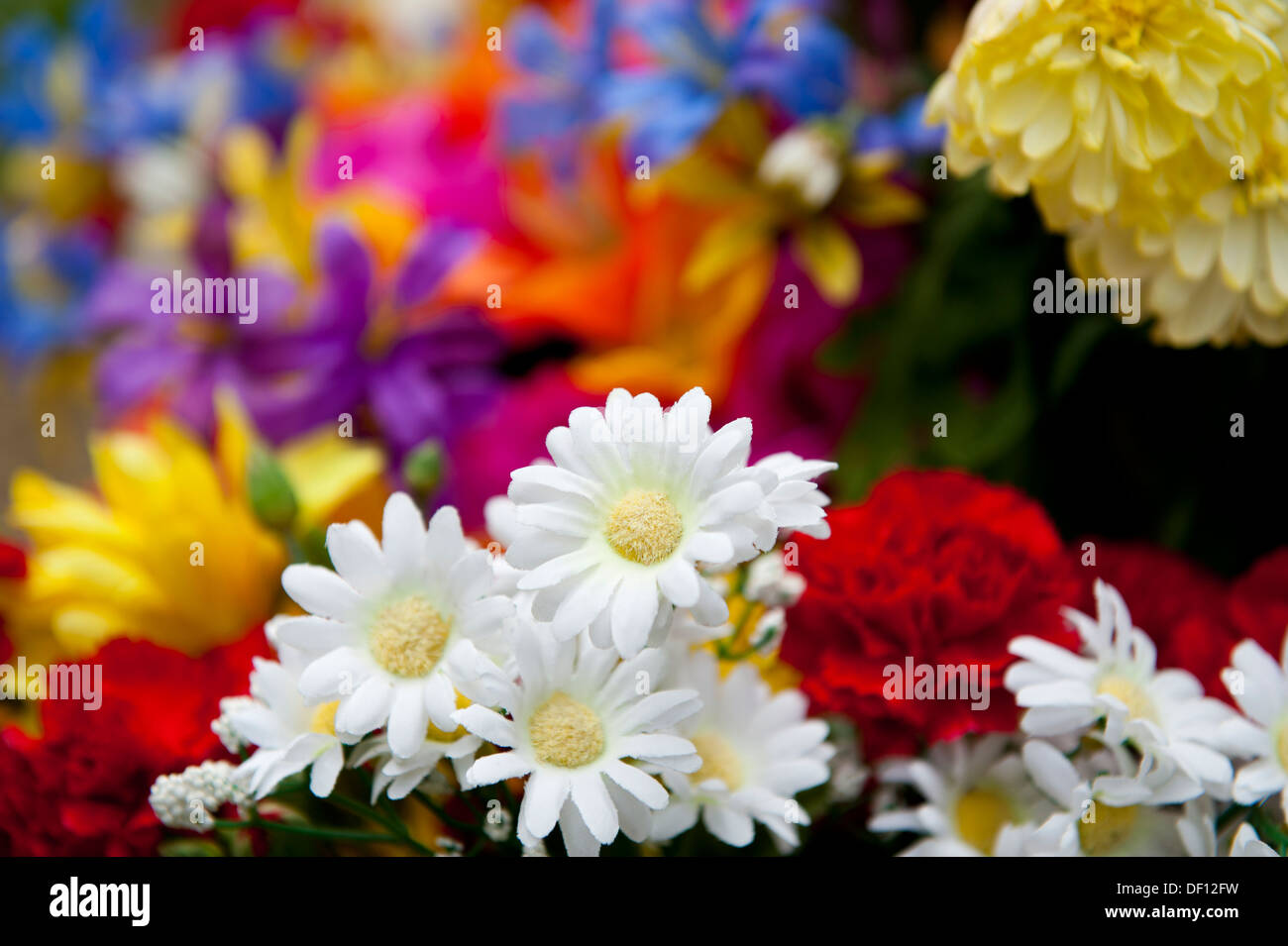 Lots of colorful flowers selection and variety Stock Photo - Alamy