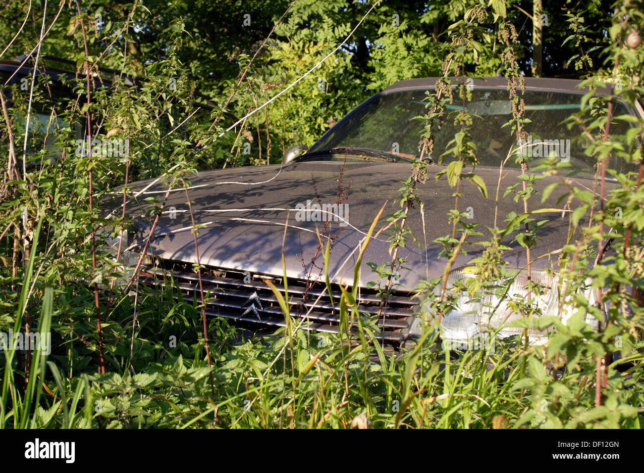 Full cannibalized hi-res stock photography and images - Alamy