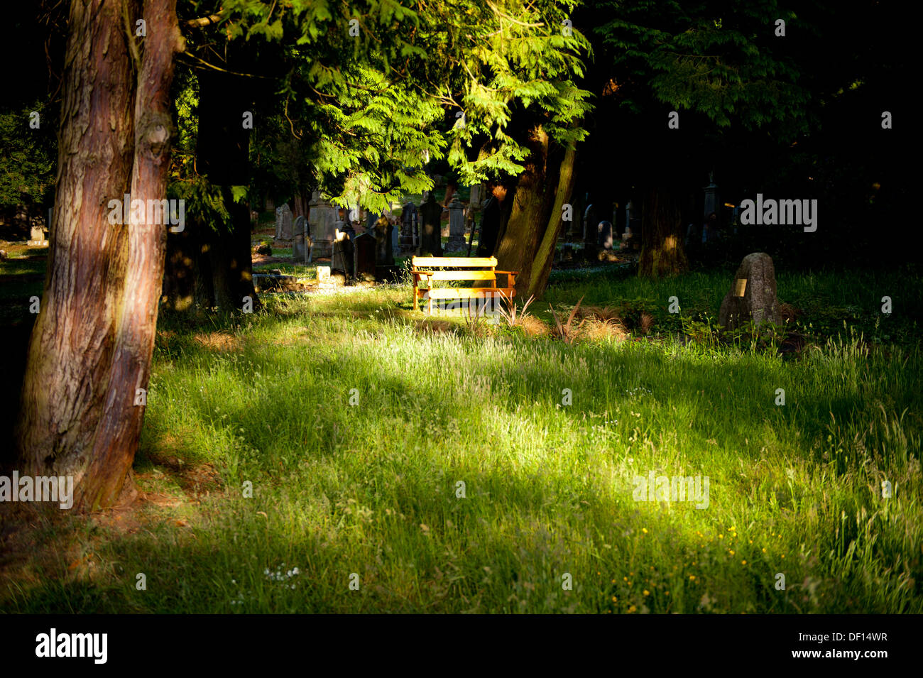 Bench in sunshine hi-res stock photography and images - Alamy