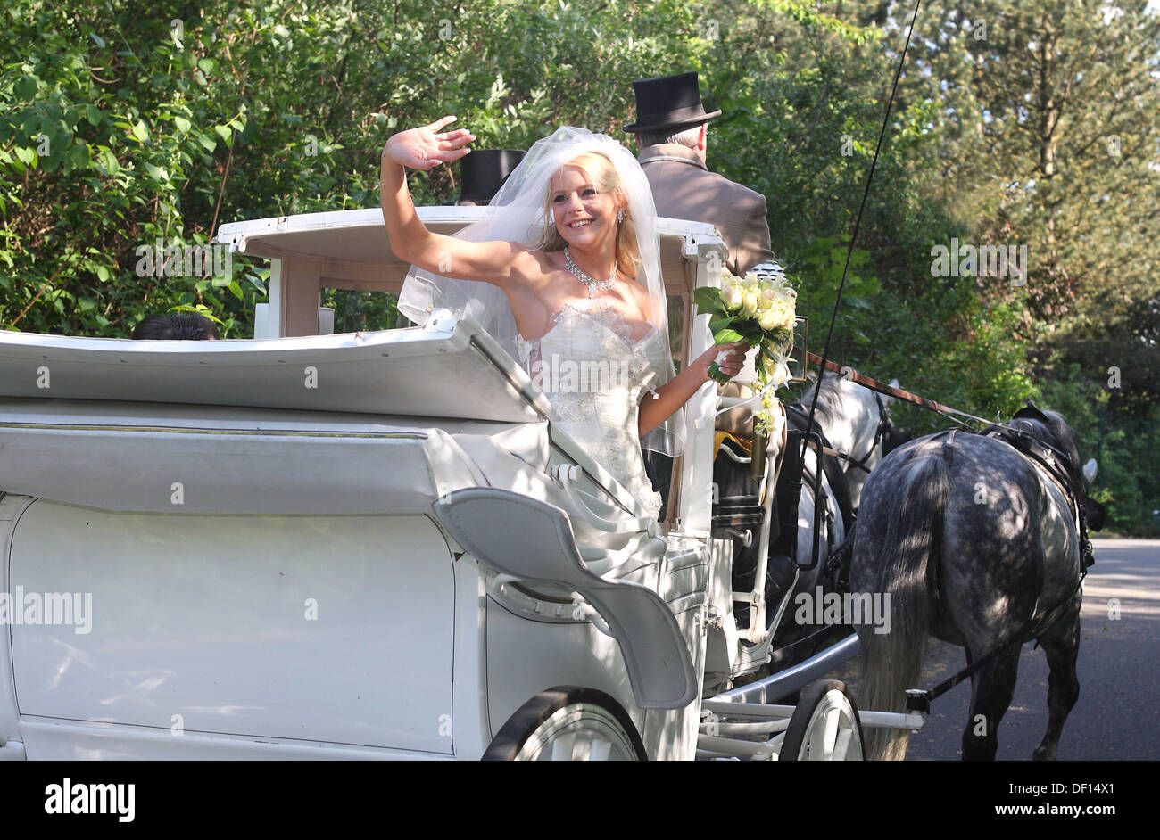 A woman driving horse carriage hi-res stock photography and images - Alamy