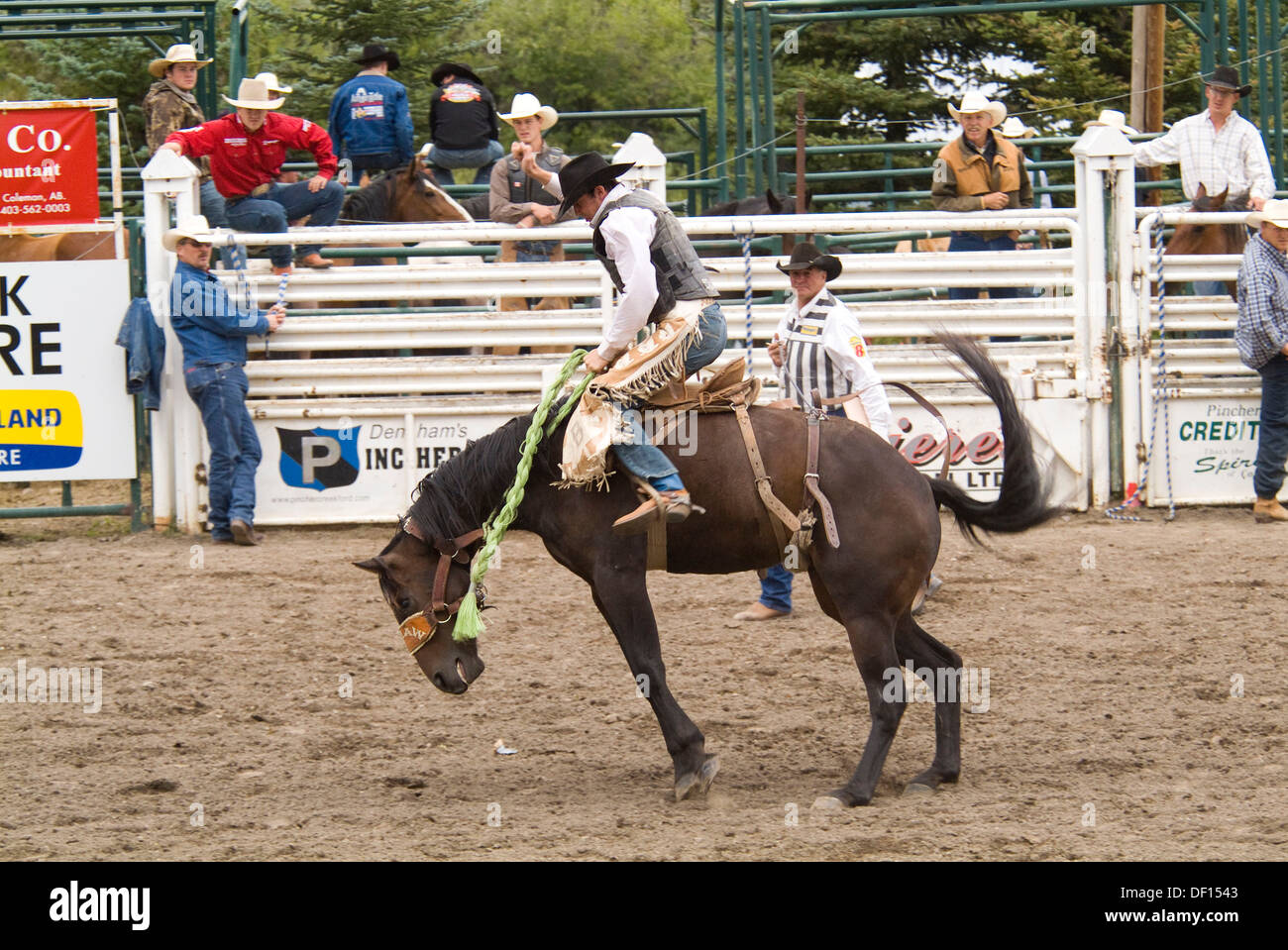 Bronco Riding High Resolution Stock Photography and Images - Alamy