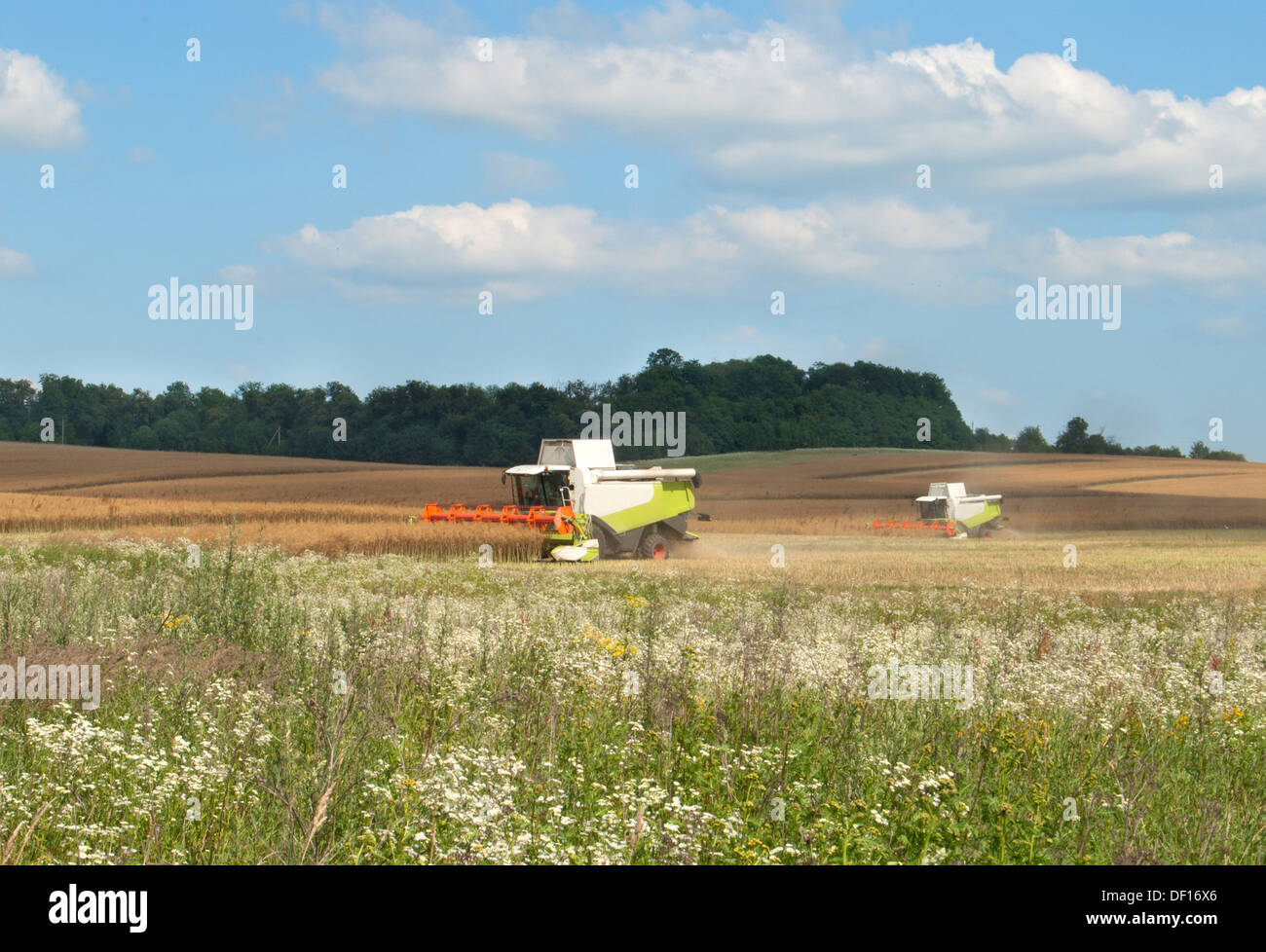 combines takes away a wheat on a background sky Stock Photo - Alamy