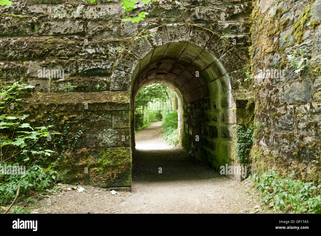 Tunnel arch through stone into forest path Stock Photo - Alamy